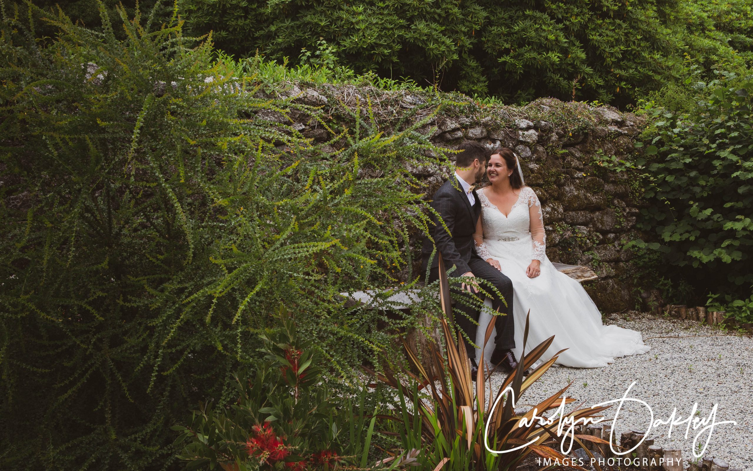 Latest news and updates – Images Photography Cornwall
